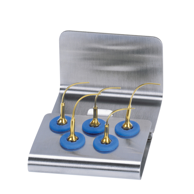 Набор Анатомический периопрофиль (насадки P10, P11, P12, P13, P14) | Mectron (Италия). Купить по ...